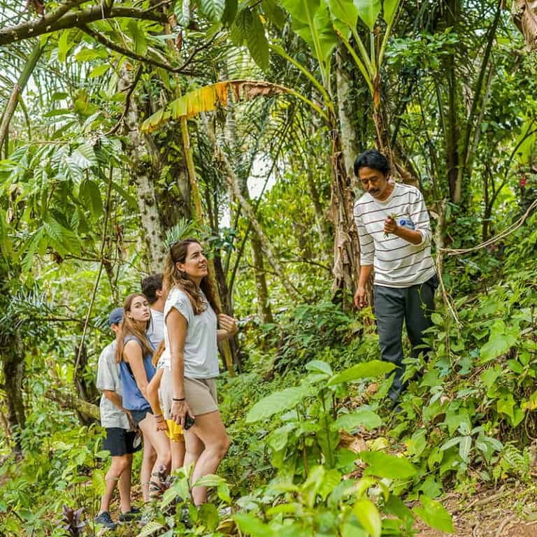 9 Days : The Lesser Sunda Island onboard of Silolona - Top Indonesia ...
