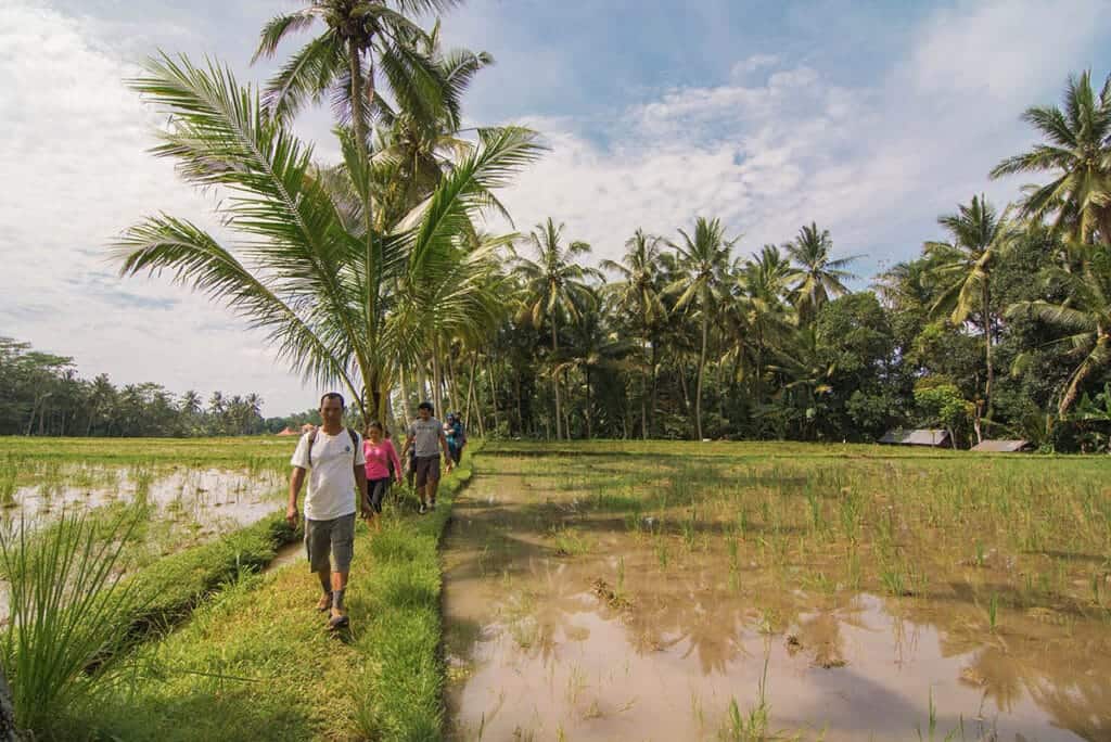 8 Days: Bali Authentic Experience - Top Indonesia Holidays