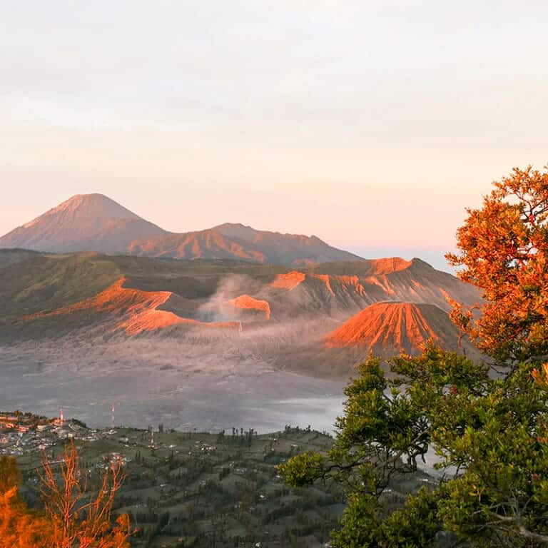 9 Days : The Lesser Sunda Island onboard of Silolona - Top Indonesia ...