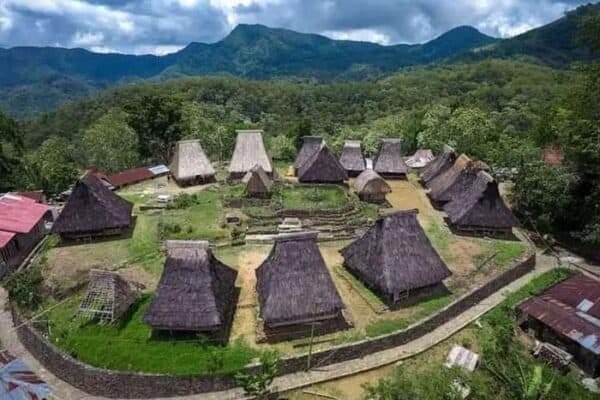 9 Days : The Lesser Sunda Island onboard of Silolona - Top Indonesia ...